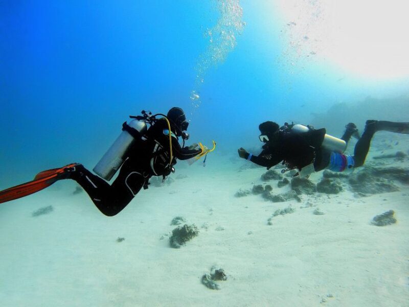 Scuba Diving Experience in Porto Cesareo - Key Points