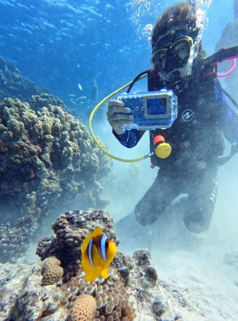 Scuba Diving Experience in Porto Cesareo - The Itinerary in Detail
