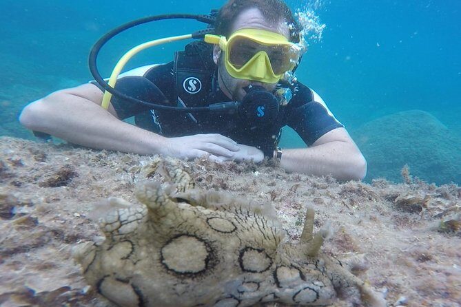 Scuba Diving Experience in Taormina - Authentic Touches and Real Traveler Feedback