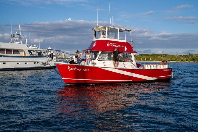 Scuba Diving Experience in West Palm Beach - Discovering the Scuba Diving Experience in West Palm Beach