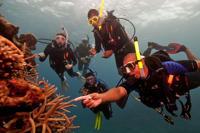 Scuba Diving For Beginners - Introducing the Scuba Diving For Beginners Tour in Negombo