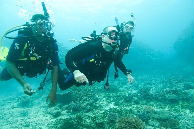 Scuba Diving For Beginners - Key Points