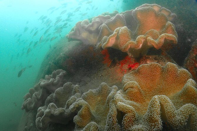 Scuba Diving For Beginners - The Sum Up