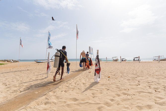 Scuba Diving For Beginners - Who Will Love This Experience?