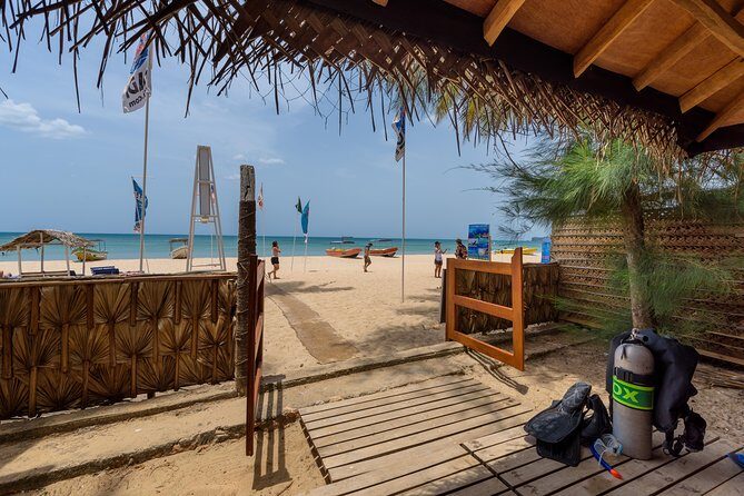 Scuba Diving For Beginners - The Value of the Experience