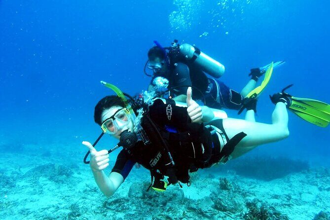 Scuba diving for beginners Cambrils with hotel Pickup - Key Points