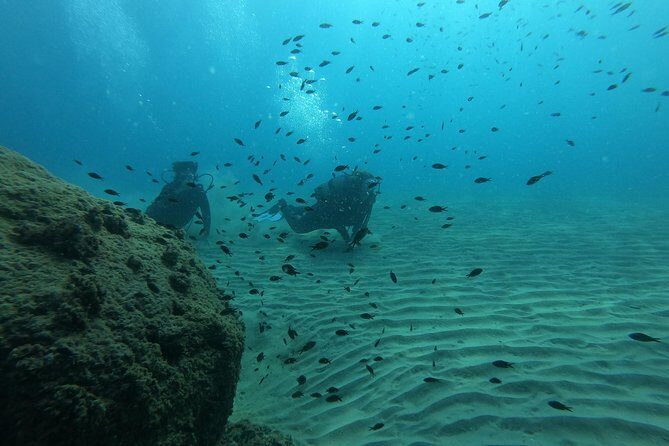 Scuba Diving For Beginners - What Makes This Tour a Worthwhile Introduction