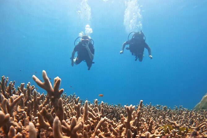 Scuba Diving for Beginners from Phuket Racha Yai with Snorkeling - Overview of the Experience