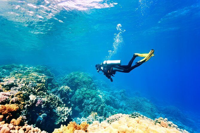 Scuba Diving for Beginners in Marmaris and Icmeler - An Overview of the Experience