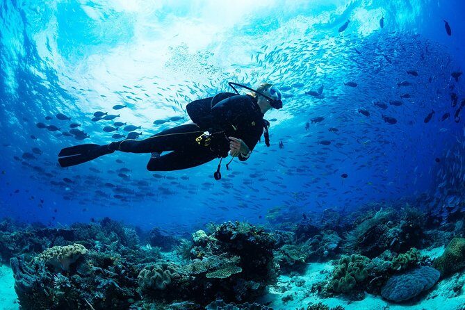 Scuba Diving for Beginners in Marmaris and Icmeler - The Value Proposition