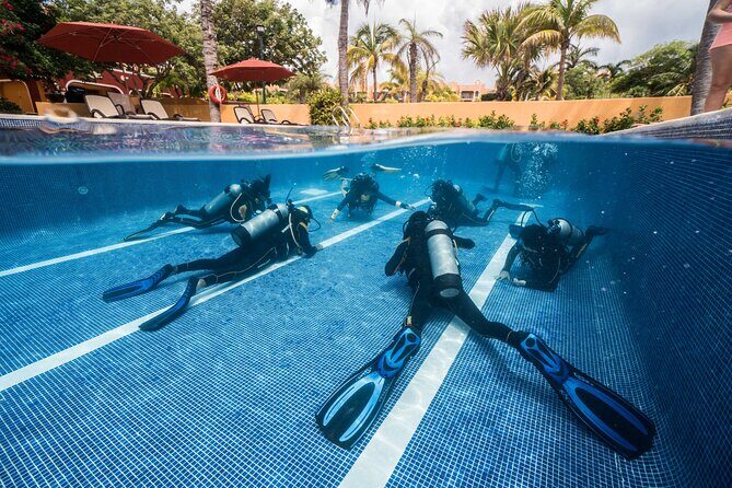 Scuba Diving for Beginners  Playa del Carmen or Tulum - Who Will Love This Tour?