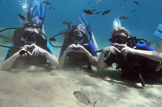 Scuba Diving for Beginners with a PADI Instructor near Heraklion - The Sum Up: Who Will Love This?