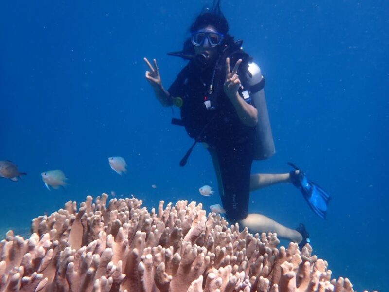 Scuba Diving for Beginners with Certified Diving Centre - Who is this tour best suited for?