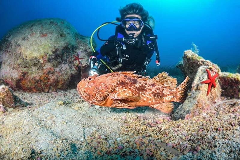 Scuba Diving for Certified Divers - A Closer Look at the Experience