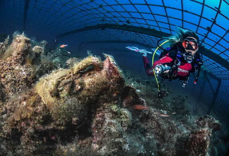 Scuba Diving for Certified Divers - Why This Tour Is Worth Considering
