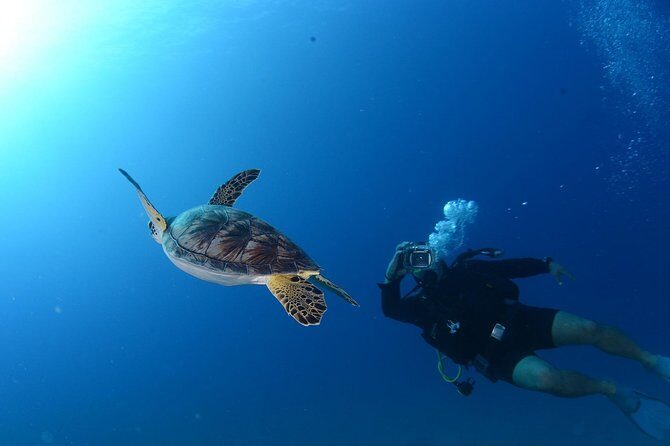 Scuba Diving from Bodrum - Final Thoughts