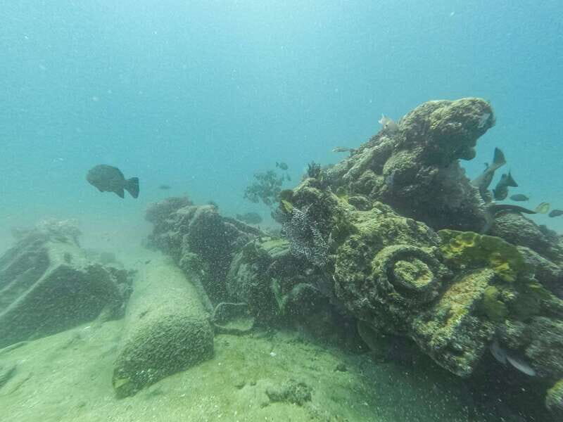 Scuba diving in a National Marine Park of Cabo Pulmo - Final Thoughts