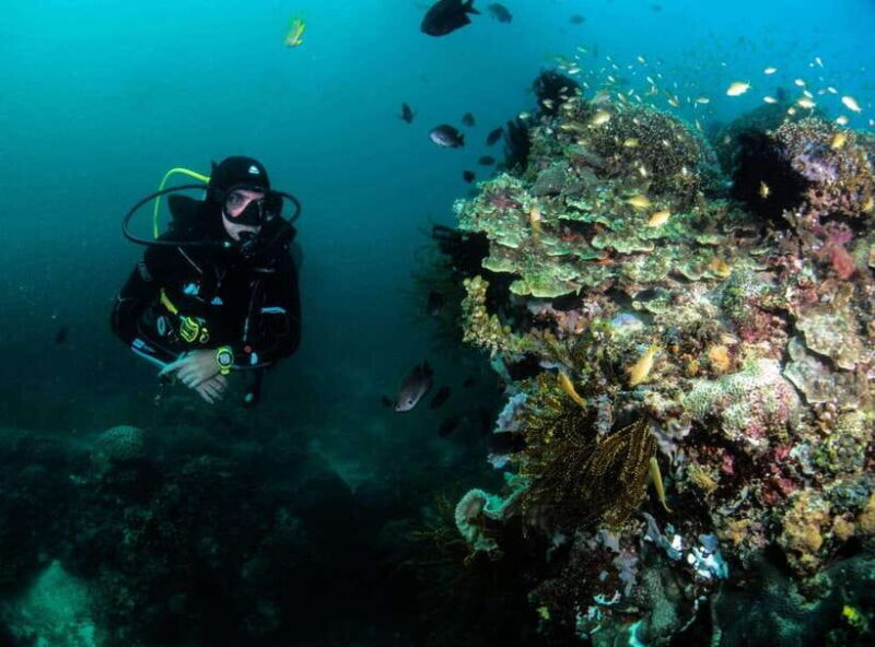 Scuba Diving in Boracay: SSI Open Water Certification - The Gear and Learning Materials