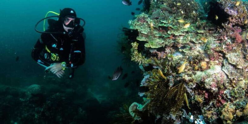 Scuba Diving in Boracay: SSI Open Water Certification - Who Should Consider This Course?
