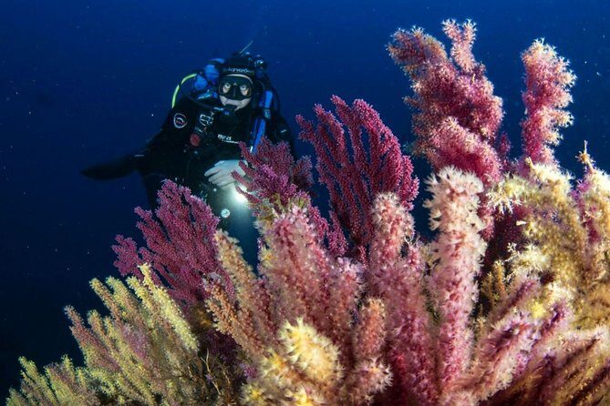 Scuba diving in Calabria, Italy - A Practical Overview of the Calabria Scuba Tour