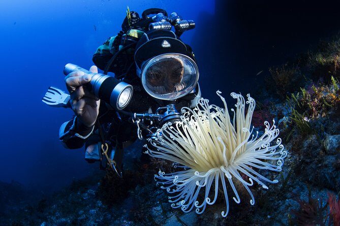 Scuba diving in Calabria, Italy - Exploring the Dive Sites