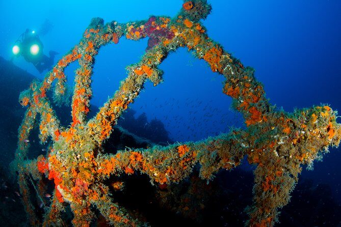 Scuba diving in Calabria, Italy - Authentic Reviews and Real Experiences