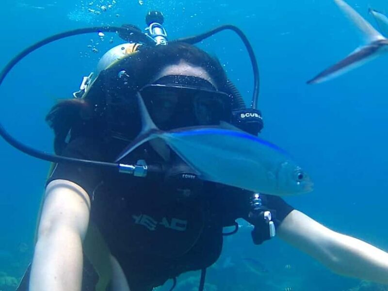 Scuba Diving in Catalina Island - Who Will Love This Tour?