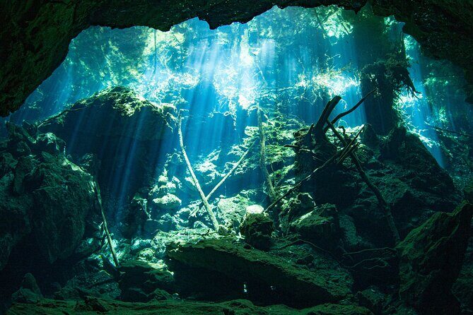Scuba Diving in Cenote Kukulkan from Playa del Carmen - Why This Tour Works Well
