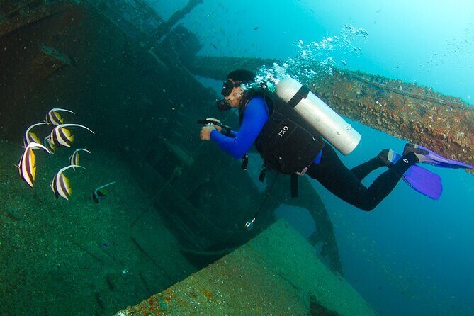 Scuba Diving in Colombo - Final Thoughts: Who Will Love This Experience?