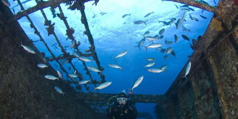 Scuba Diving in Colombo - Exploring Colombo’s Wreck Dives: An Authentic Underwater Adventure