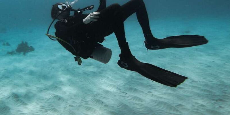 Scuba Diving in Colombo - Practicalities: What Travelers Should Know
