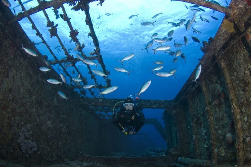 Scuba Diving in Colombo - Comparing the Experience to Other Activities