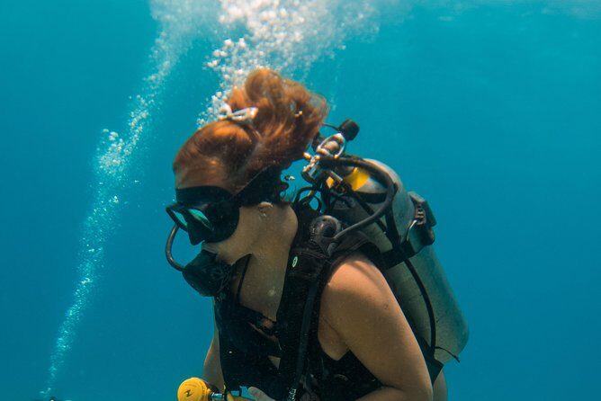 Scuba Diving in Cozumel Island - Final Thoughts