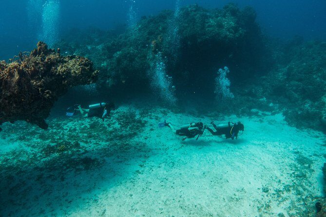 Scuba Diving in Cozumel Island - FAQ