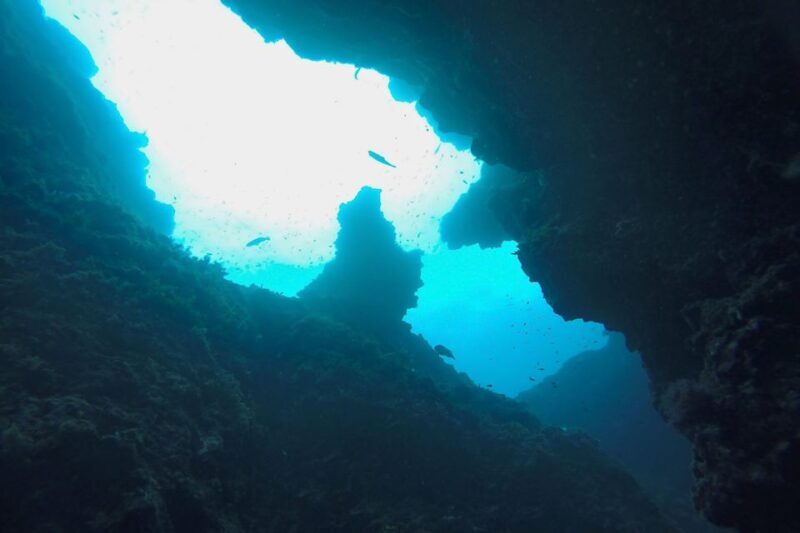 Scuba Diving in Dubrovnik: 1 Dive for Certified Divers - Exploring Scuba Diving in Dubrovnik: One Dive for Certified Divers