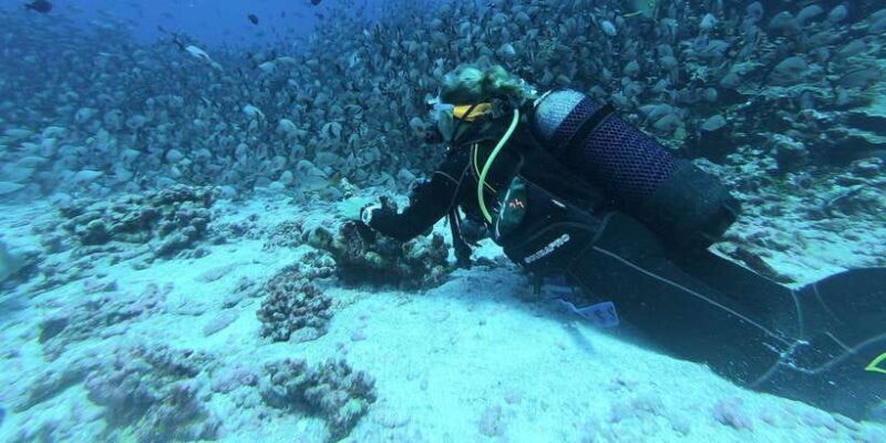 Scuba Diving in Hikkaduwa - Why Choose Scuba Diving in Hikkaduwa?