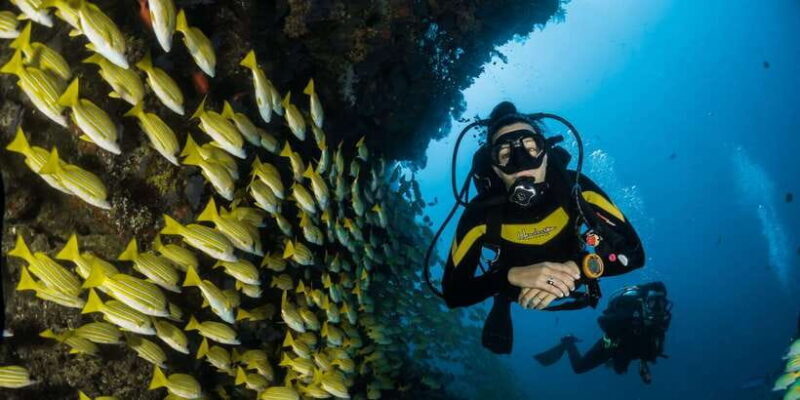 Scuba Diving in Hikkaduwa - Analyzing the Value