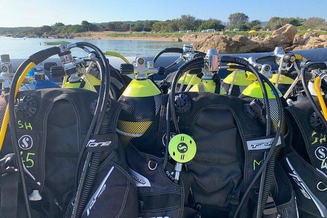 Scuba Diving in La Maddalena & Lavezzi Park for certified divers. - Cost and Value