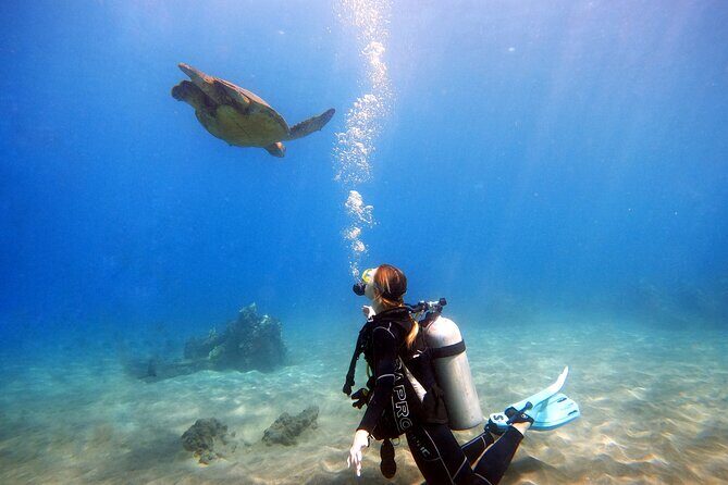Scuba Diving in Maui with No Experience Needed - A Detailed Look at the Maui Scuba Experience