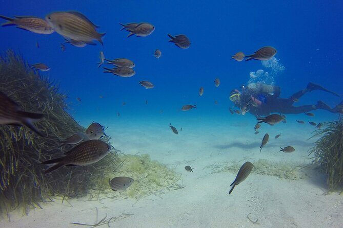 Scuba Diving in MIG-21 wreck - Why This Tour Stands Out