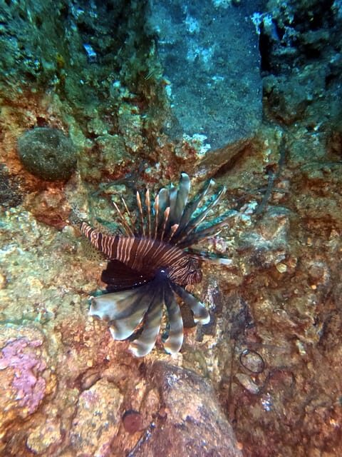 Scuba Diving in the Volcanic Caldera/shorelines of Santorini - Who Will Love This Tour?