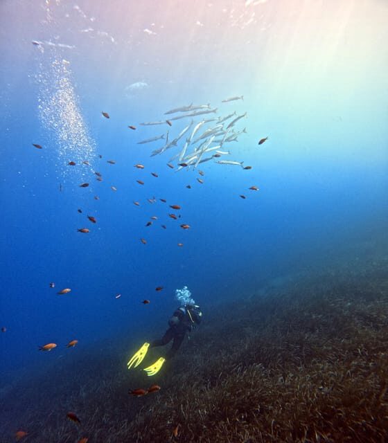 Scuba Diving in the Volcanic Caldera/shorelines of Santorini - FAQ