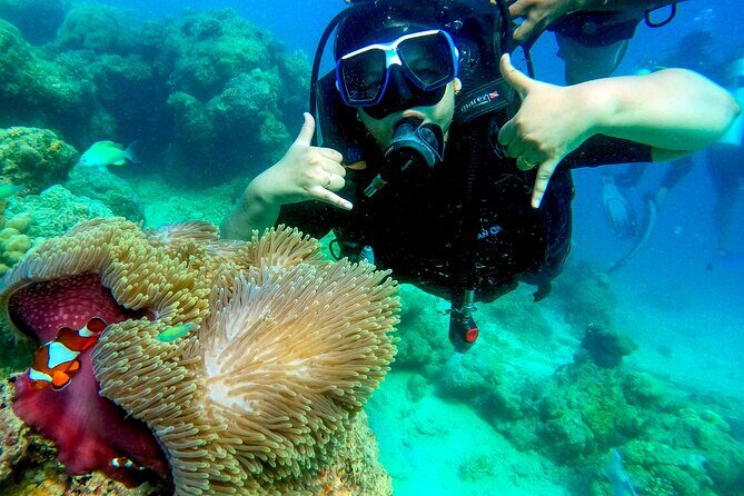 Scuba Diving in Tribe Gate - The Experience in Practice: What Reviewers Say