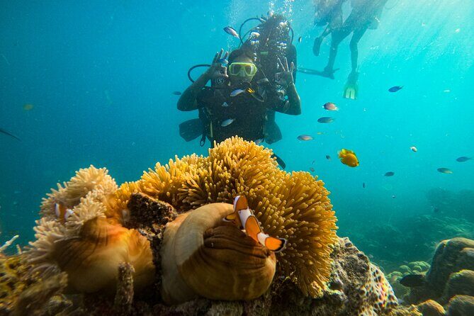 Scuba Diving in Tribe Gate - Cost and Value: Is It Worth It?