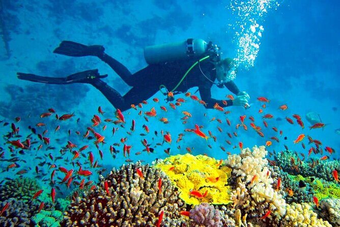 Scuba Diving in Trincomalee - Key Points