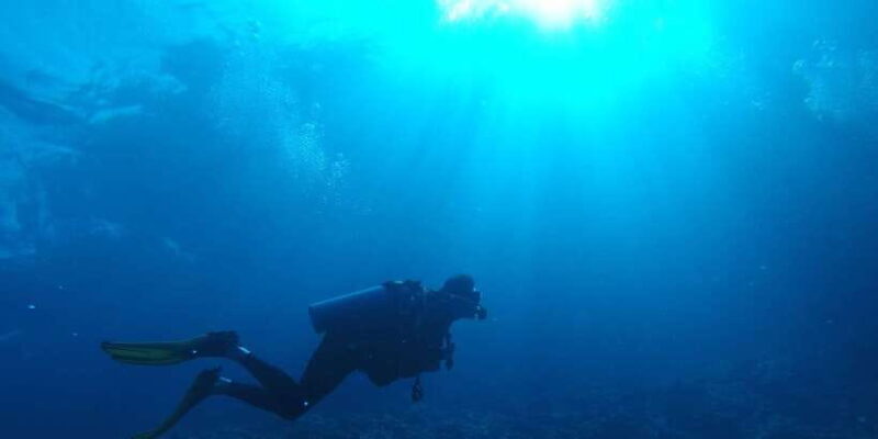 Scuba Diving in Trincomalee - Discovering the Depths of Trincomalee: An In-Depth Review