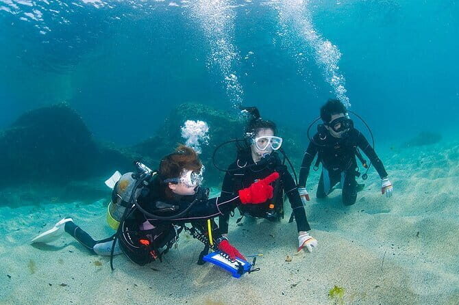 Scuba Diving in Yakushima island (for certified divers only) - Authentic Marine Encounters