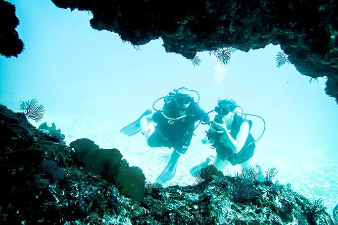 Scuba Diving Marietas Islands - Why This Tour Stands Out