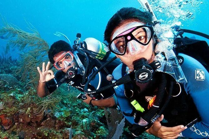 Scuba Diving on Catalina Island | 2 tanks, 2 spots - What to Expect from the Catalina Island Scuba Tour