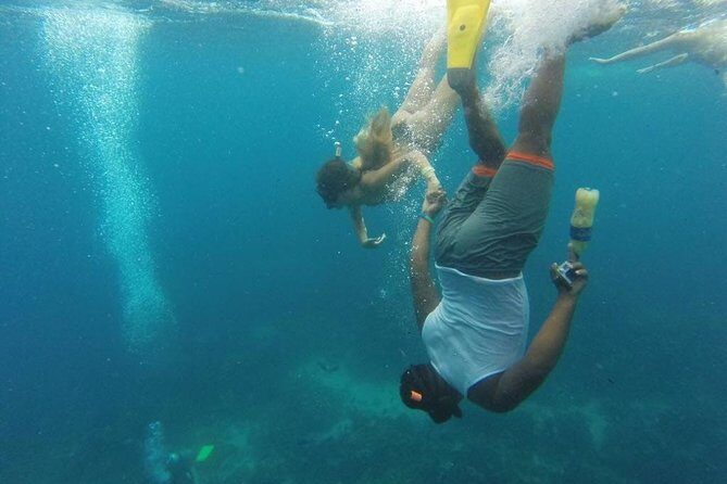 Scuba Diving on Catalina Island | 2 tanks, 2 spots - Summary: Is It Worth It?